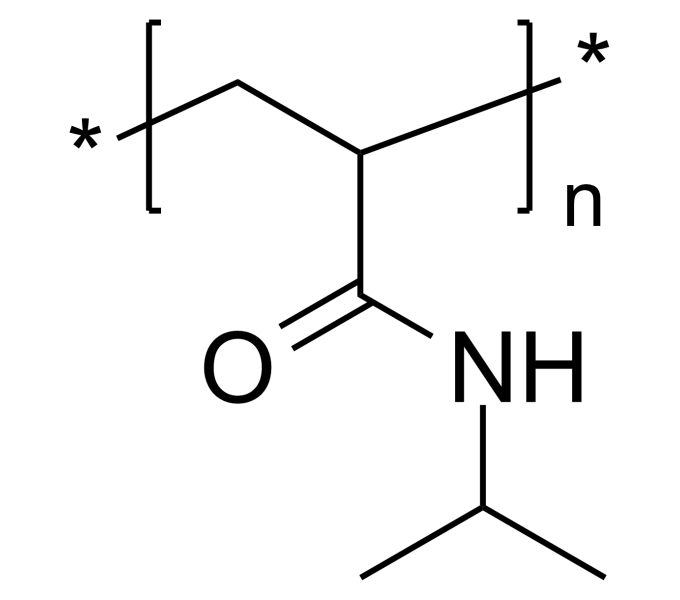 Poly(N-isopropyl acrylamide), narrow dispesity (Mw/Mn