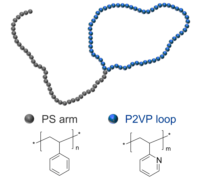 Vinyl Functional Group